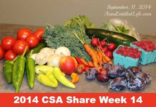 2014 CSA Share Week 15