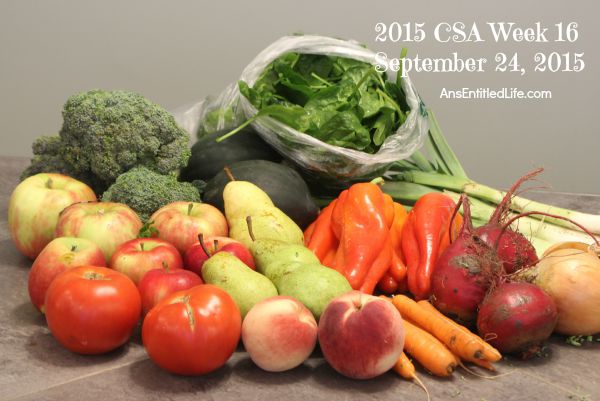 2015 CSA Share Week 16 | Ann's Entitled Life 2015 CSA Share Week 16 | Ann's Entitled Life