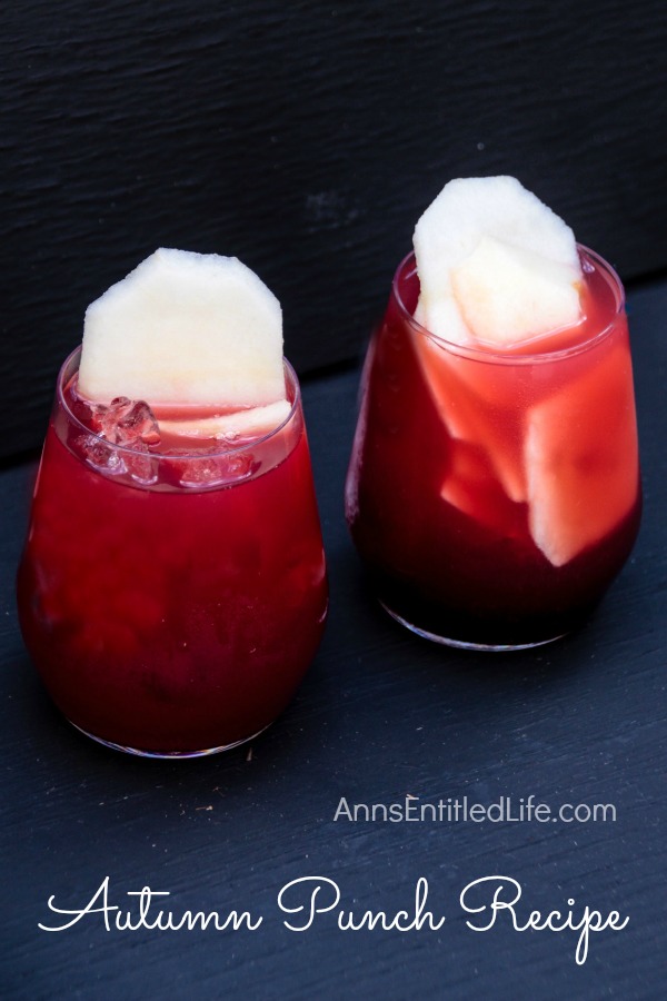 Autumn Punch Recipe
