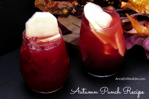 Autumn Punch Recipe