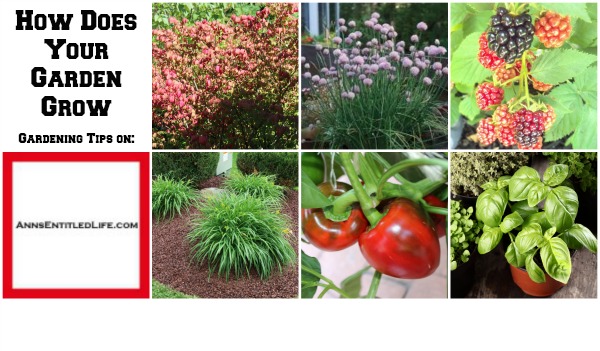 How Does Your Garden Grow