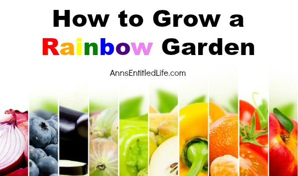 How to Grow a Rainbow Garden