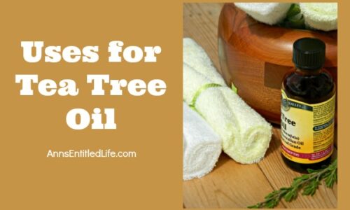 The Many Uses of Tea Tree Oil