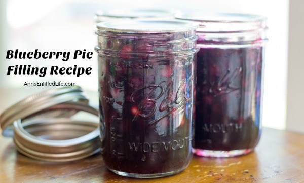 Blueberry Pie Filling Recipe