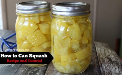 Canned Squash Recipe