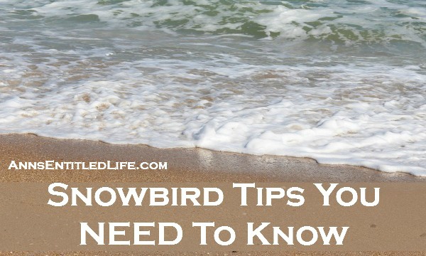 Snowbird Tips You NEED To Know
