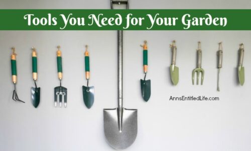 Tools You Need for Your Garden