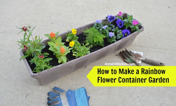 How to Make a Rainbow Flower Container Garden
