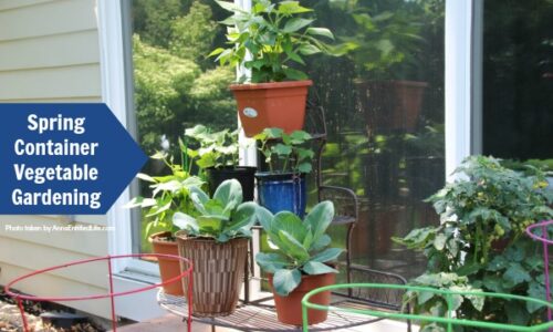 Spring Container Vegetable Gardening
