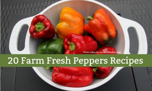 20 Farm Fresh Peppers Recipes