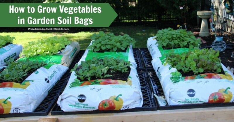 How to Grow Vegetables in Garden Soil Bags