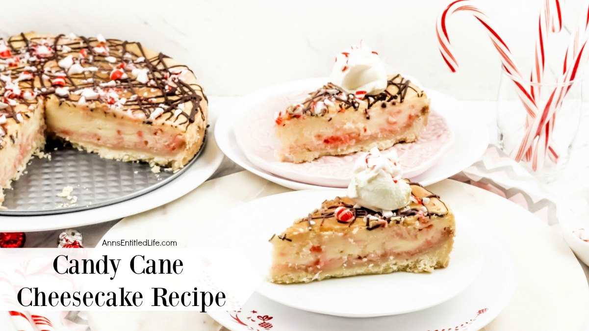 Candy Cane Cheesecake Recipe