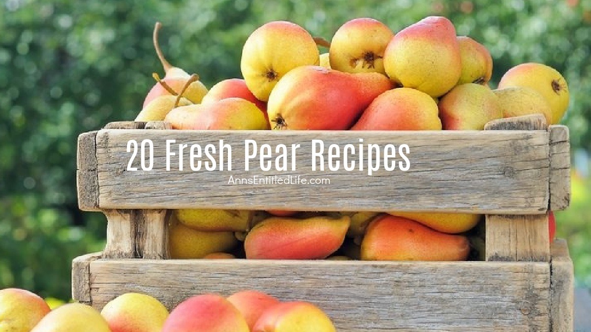 20 Fresh Pear Recipes