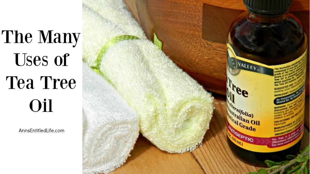 The Many Uses of Tea Tree Oil