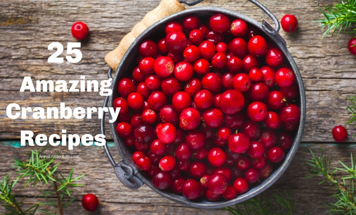 25 Amazing Cranberry Recipes
