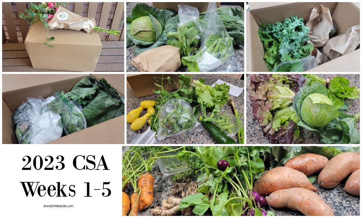 2023 CSA Weeks 1-5