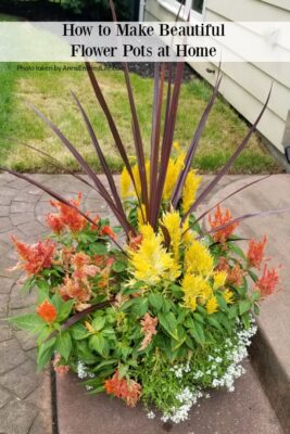 How to Make Beautiful Flower Pots at Home | Easy Plant Steps