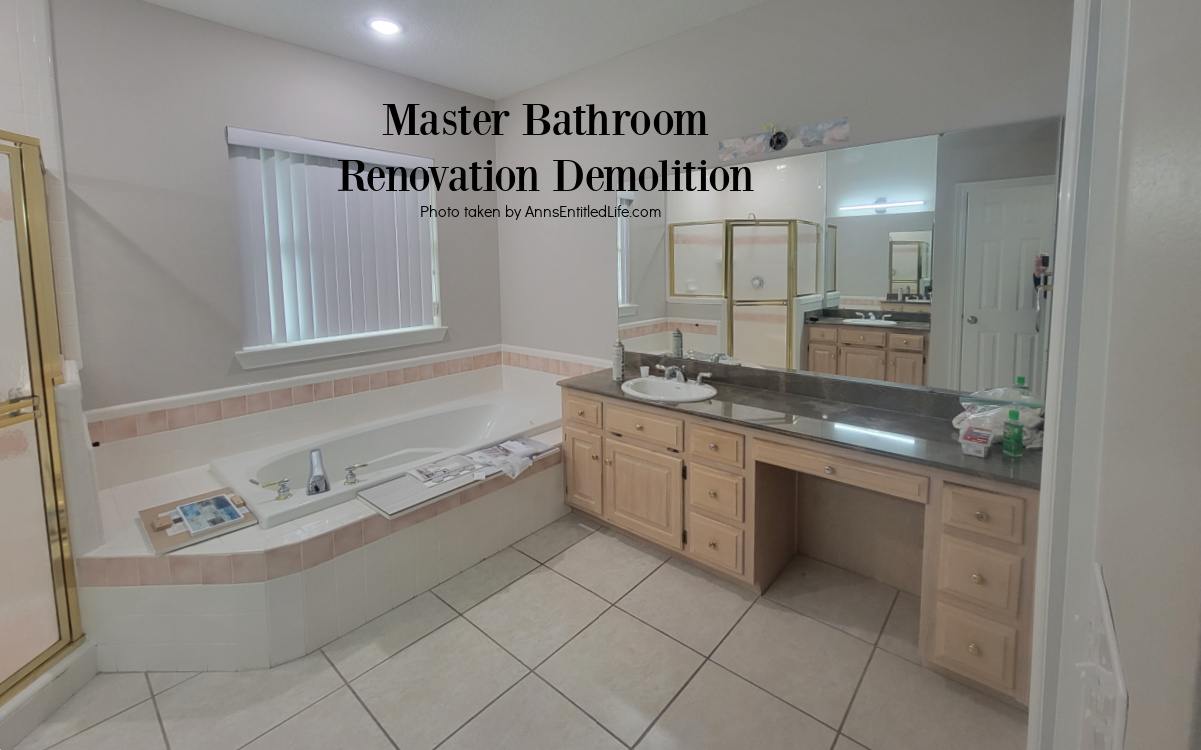 Master Bathroom Renovation - The Demolition | Remodel Tips