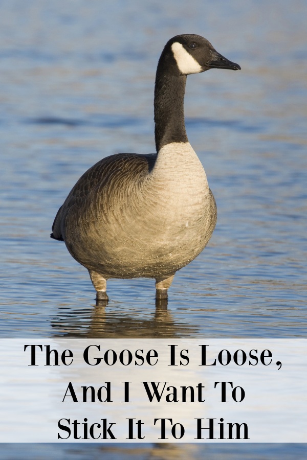 Renovations Archives - Page 4 of 5 - Ann's Entitled Life